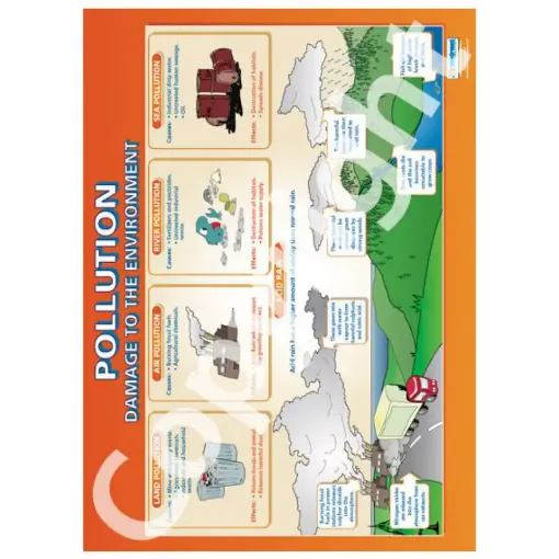 Pollution Laminated Wallchart-SG Education