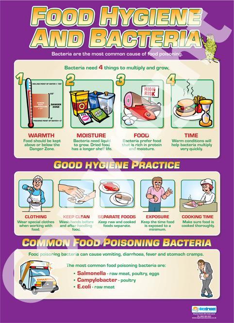 DD WC Food Hygiene & Bacteria DL20-SG Education